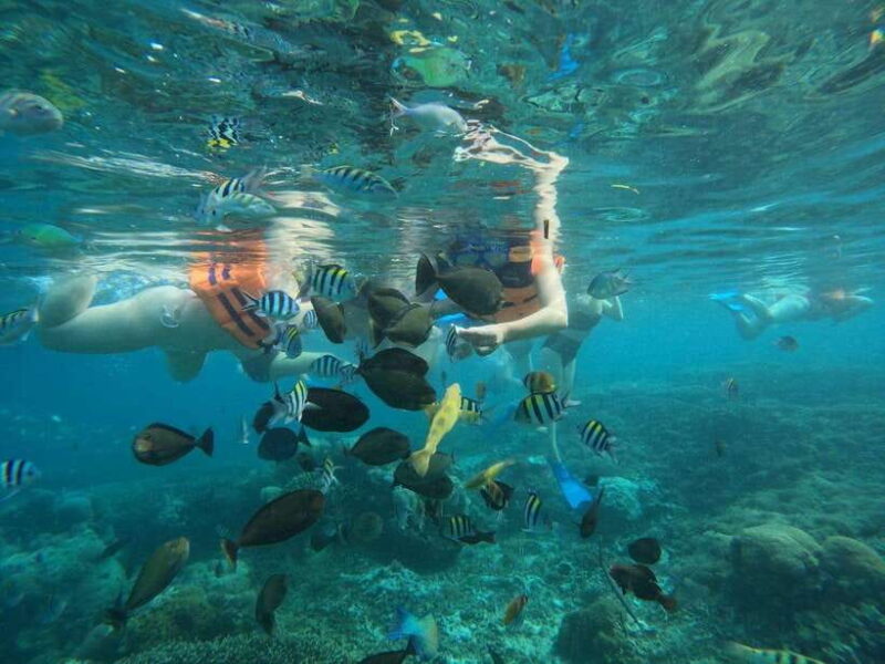Lombok: Snorkeling to Gili Nanggu, Sudak & Kedis (Private) - Who Should Consider This Tour?
