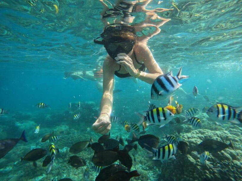 Lombok: Snorkeling to Gili Nanggu, Sudak & Kedis (Private) - Final Thoughts