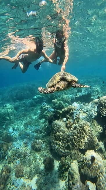 Lombok Snorkeling to Gili Nanggu, Tangkong, Sudak and Kedis - FAQ