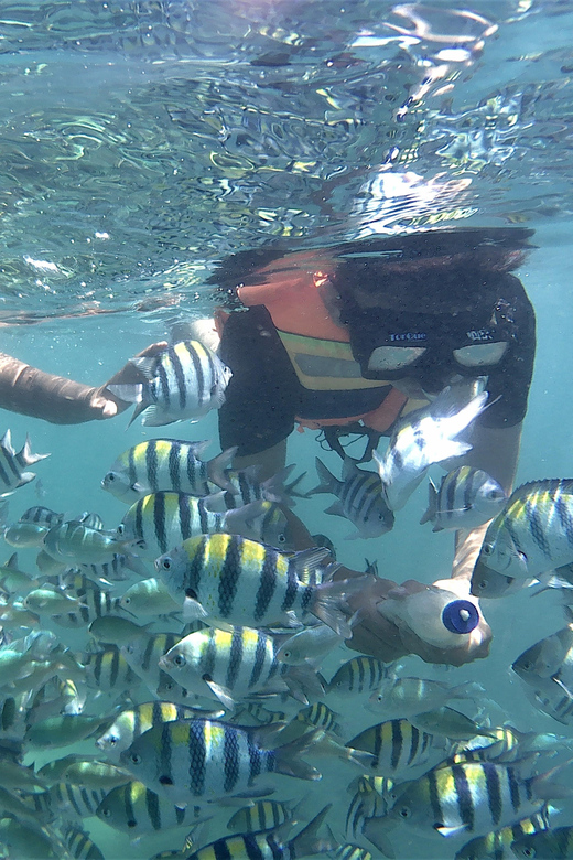 Lombok: Snorkeling Trip Gili Nanggu, Sudak & Kedis - The Sum Up: Is It Worth It?
