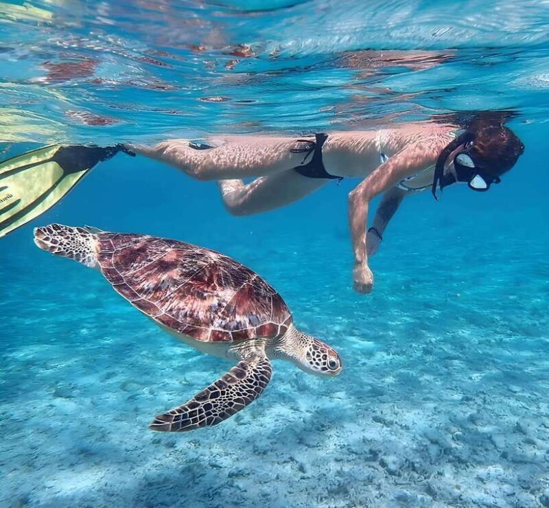 Lombok : Snorkeling Trip (Gili Trawangan, Meno & Gili Air) - Key Points