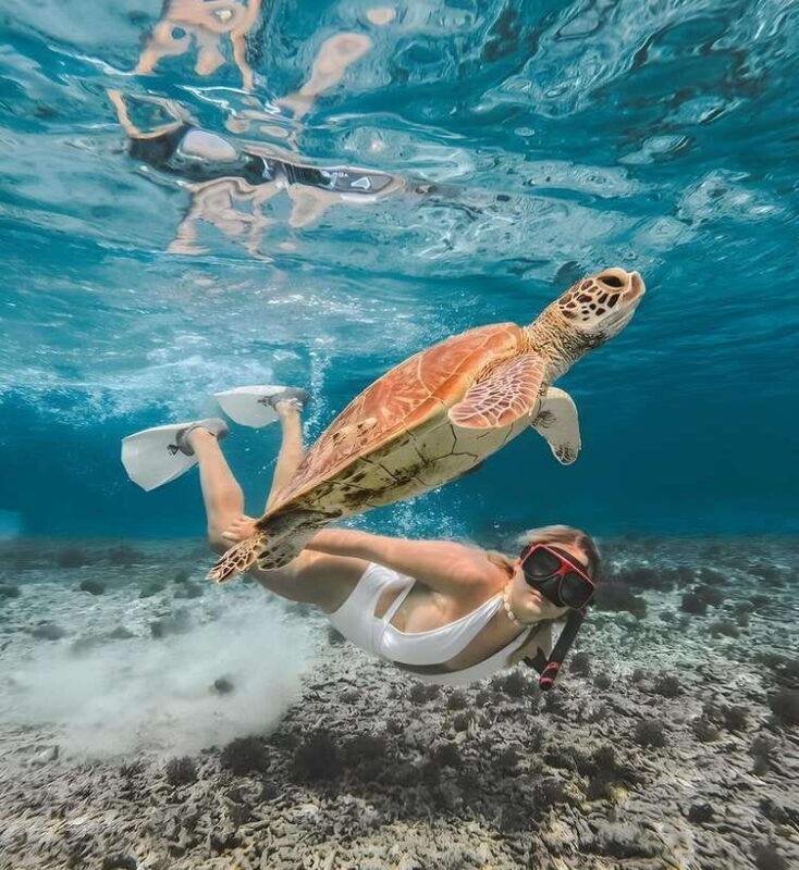 Lombok : Snorkeling Trip (Gili Trawangan, Meno & Gili Air) - The Sum Up: Is This Tour for You?