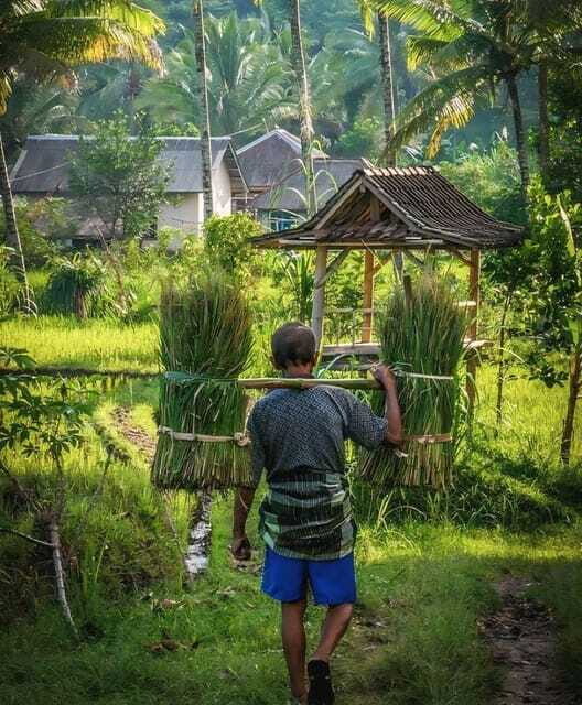 Lombok : Tandem Paragliding With Pilot, Cave & Village - What’s Not Included