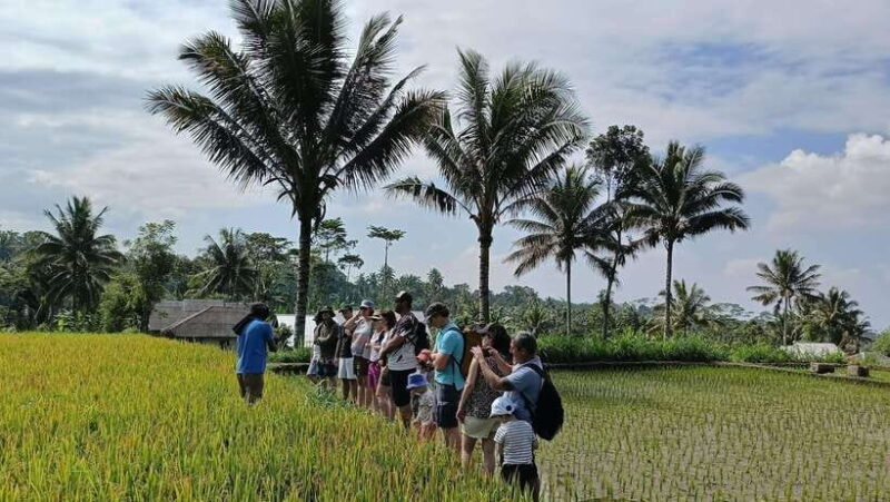 Lombok: Tetebatu Village and Rice Fields Guided Tour - Key Points