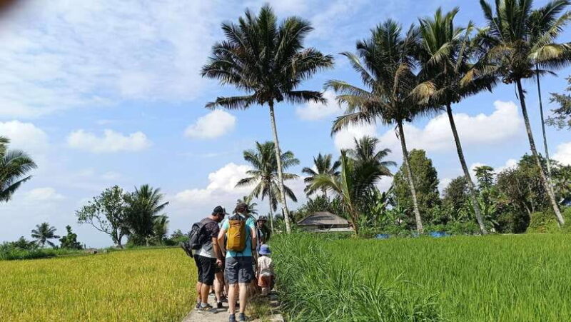 Lombok: Tetebatu Village and Rice Fields Guided Tour - What the Reviews Say