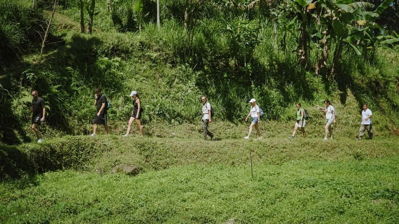 Lombok: Tetebatu Walk, Waterfall, Monkey Forest & Cooking - Who Will Love This Tour?