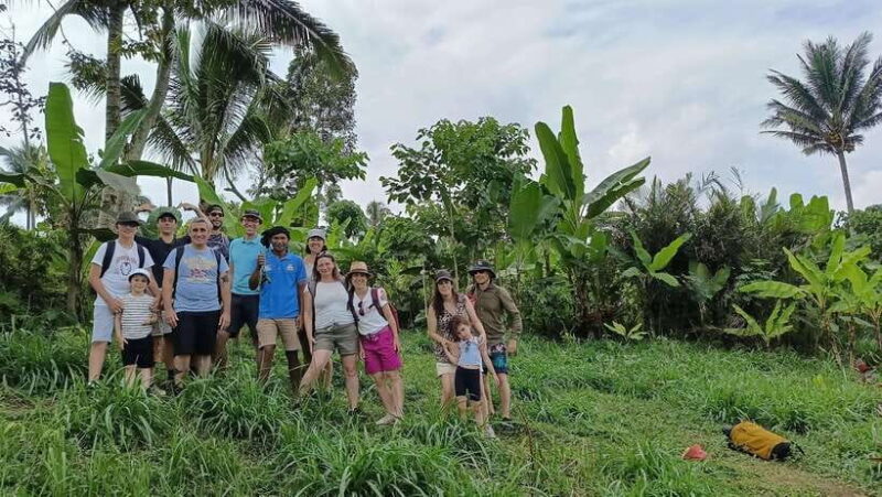 Lombok: Tetebatu Walking Tour with Monkey Forest & Waterfall - Introduction: Exploring the Charm of Tetebatu