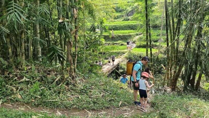 Lombok: Tetebatu Walking Tour with Monkey Forest & Waterfall - A Deep Dive into the Tetebatu Walking Tour