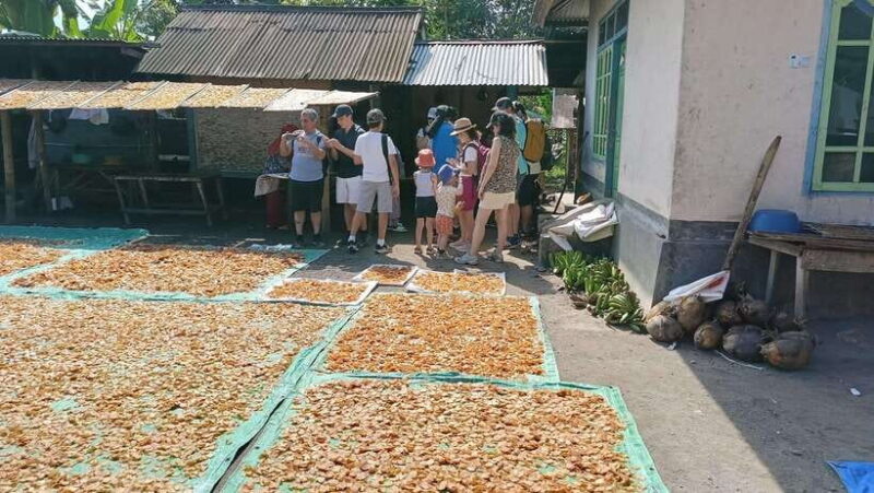 Lombok: Tetebatu Walking Tour with Monkey Forest & Waterfall - Who Will Love This Tour?