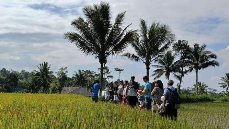 Lombok: Tetebatu Walking Tour with Monkey Forest & Waterfall - FAQ