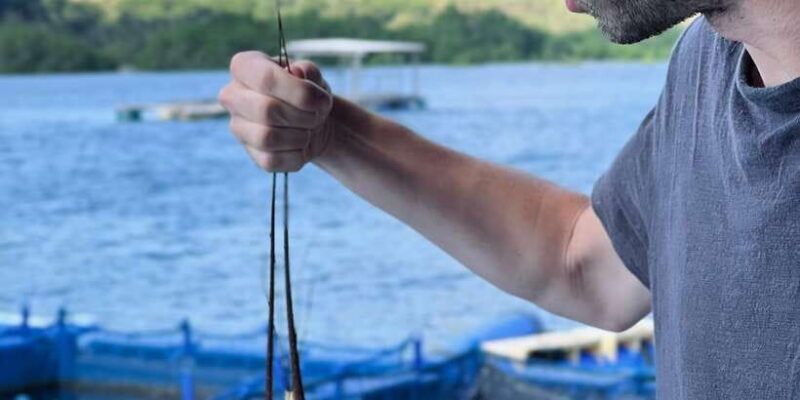 Lombok: the best snorkeling in Gili nanggu, kedis & sudak - Authentic Experiences and Practical Tips