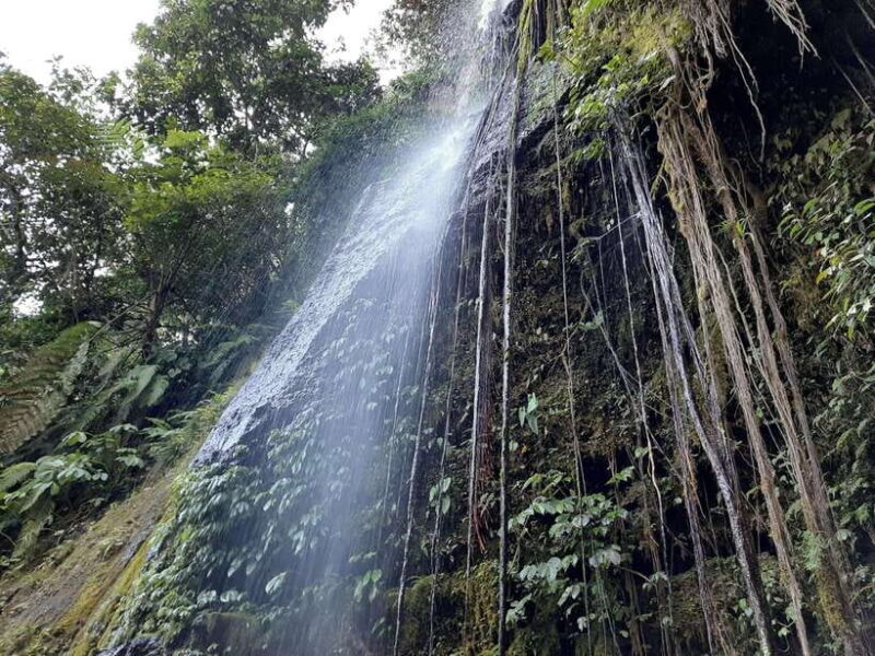 Lombok: The land and the Sasak people of Lombok | Waterfall, water castle - Key Points