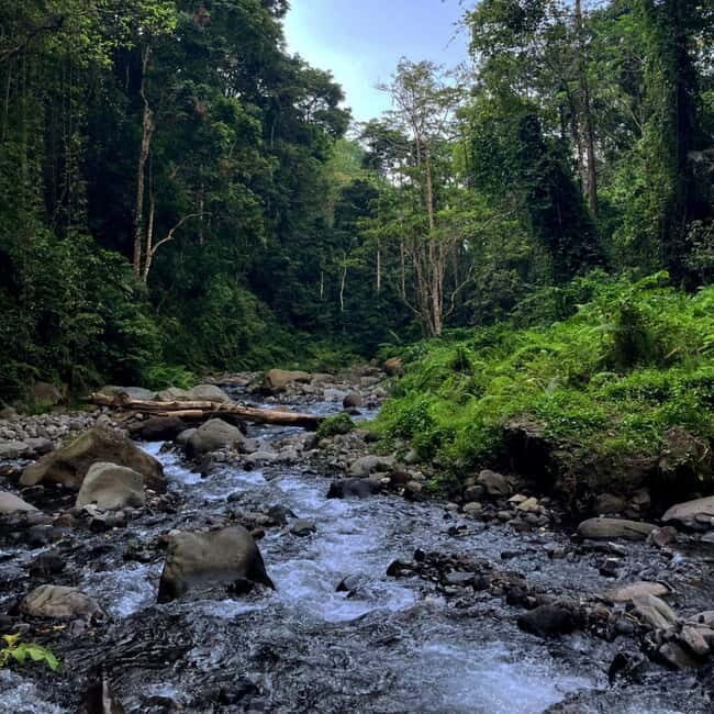 Lombok: Tiu Kelep Waterfall Tour and Sembalun Agro Tourism - Who Will Love This Tour?