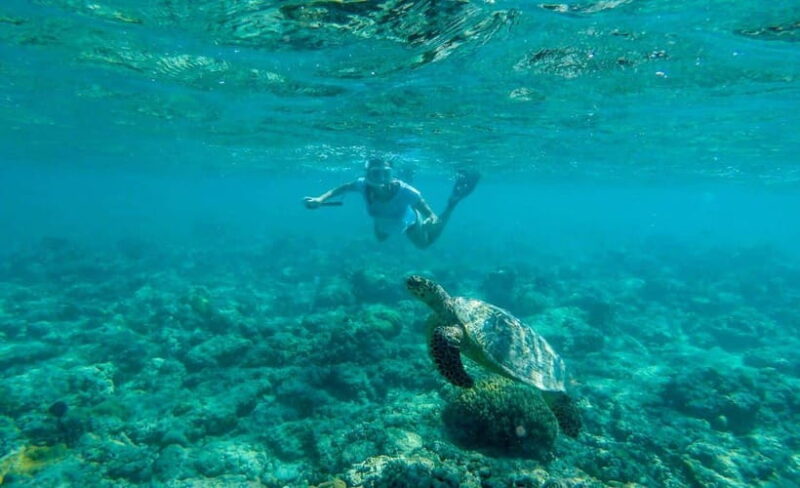 Lombok Tour and Snorkeling: Gili Kedis, Nanggu, and Sudak - The Sum Up