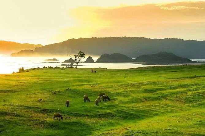 Lombok Tour For Cruise Passangers - FAQs