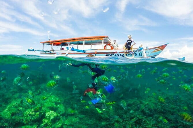 Lombok Tour from Cruise Passenger with Lunch - Analyzing the Value