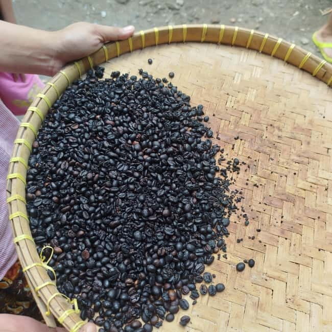 Lombok: Traditional Lombok Coffee Workshop at Pottery Studio - An In-Depth Look at the Lombok Coffee Workshop