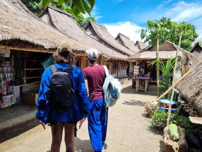 Lombok: Waterfall and Traditional Village Private Tour - Value and Who Will Love This Tour