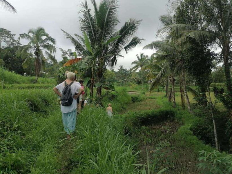 Lombok: Waterfall Benang Kelambu & Rice field Trip - Lombok: Waterfall Benang Kelambu & Rice Field Trip - A Detailed Review