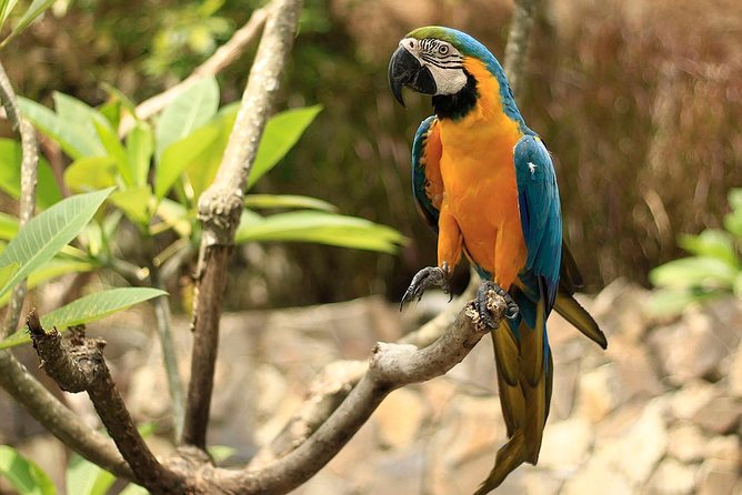 Lombok Wildlife Park Skip the Line Ticket - Is It Worth the Price?