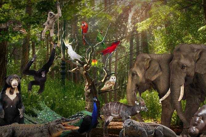 Lombok Wildlife Park Skip the Line Ticket - Practical Tips for Visiting