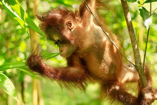 Lombok Wildlife Park Skip the Line Ticket - In The Sum Up