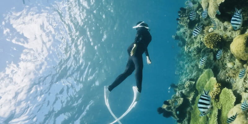 Lombok:Privat Snorkeling Gili Nanggu,Gili Sudak,Gili Kedis. - Authentic Experiences and Customer Feedback