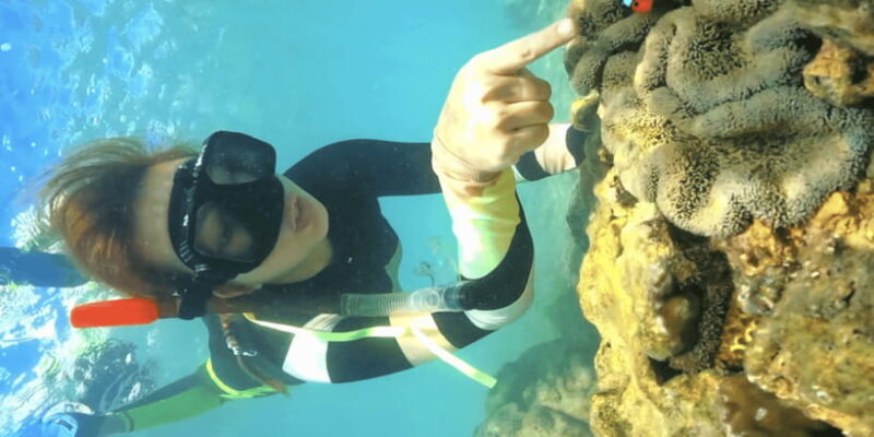 Lombok:Privat Snorkeling Gili Nanggu,Gili Sudak,Gili Kedis. - FAQ