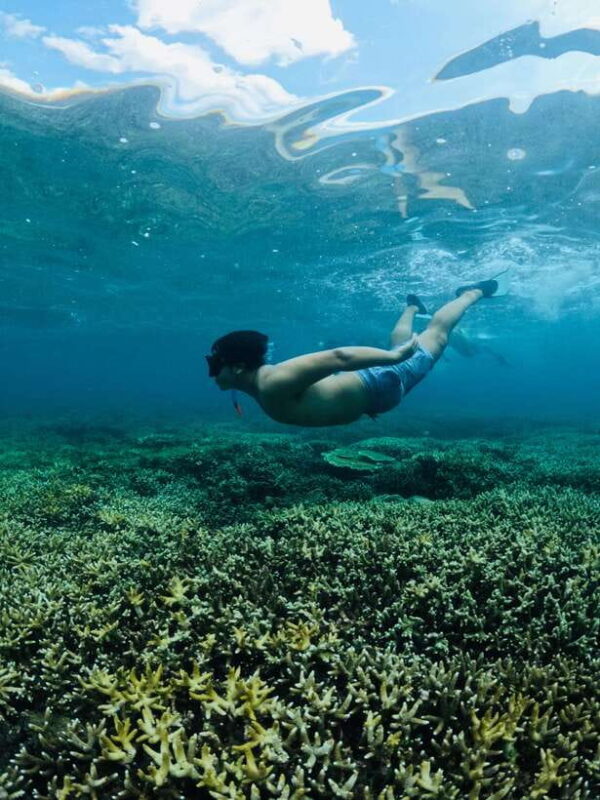 Lombok:Snorkeling trip to Gili Nanggu,Gili Sudak, Gili Kedis - Key Points