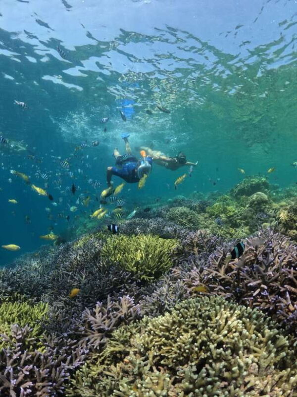 Lombok:Snorkeling trip to Gili Nanggu,Gili Sudak, Gili Kedis - Authentic Reviews: What Travelers Say
