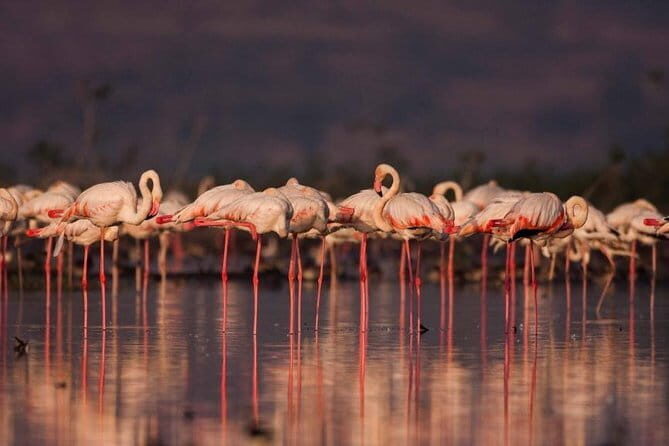 Lonavala and Khandala Day Tour from Pune - Who Should Consider This Tour?