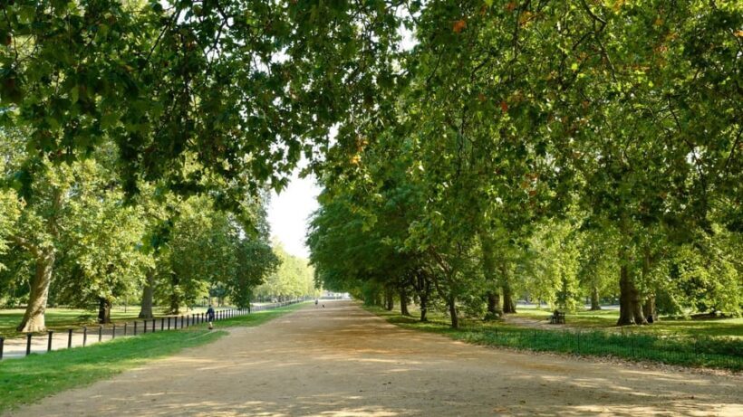 London: 24-Hour Hop-On Hop-Off Bus Pass - Introduction: Is a Hop-On Hop-Off Bus Tour Right for You?