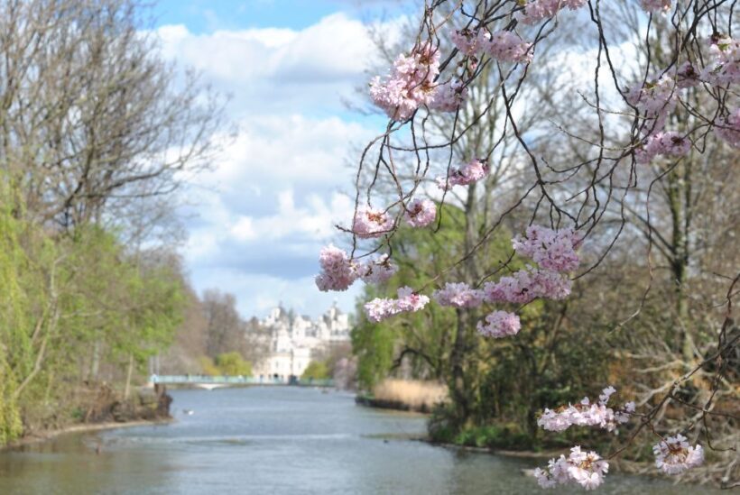 London: 4-Hour Panoramic Tour by Black Taxi - An In-Depth Look at the Tour Itinerary