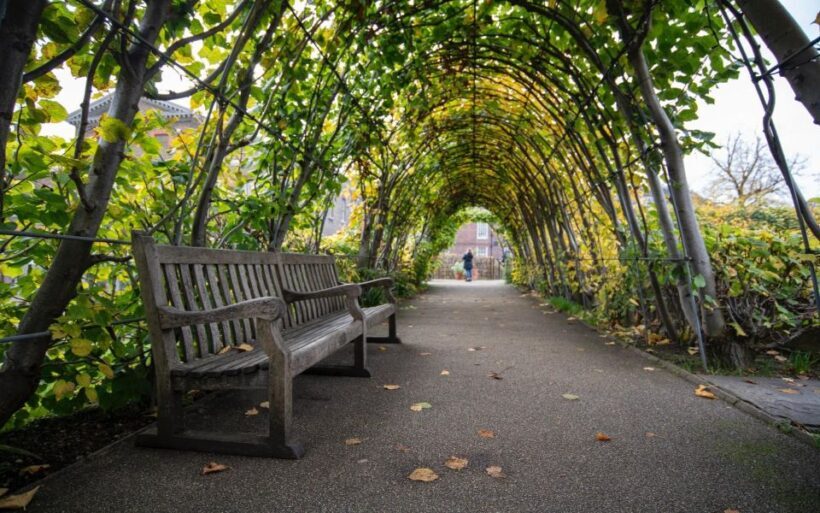 London Afternoon Tea, Fast-Track Kensington Palace Tickets - Introduction