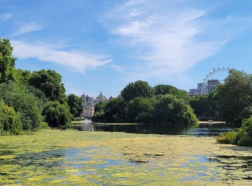 London: Buckingham, Big Ben & Westminster Abbey Tour - The Sum Up