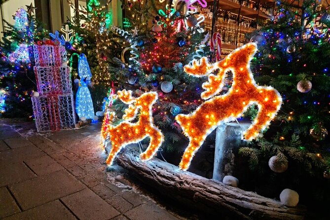 London Christmas Lights Bike Tour With Local Guide - Accessibility and Requirements