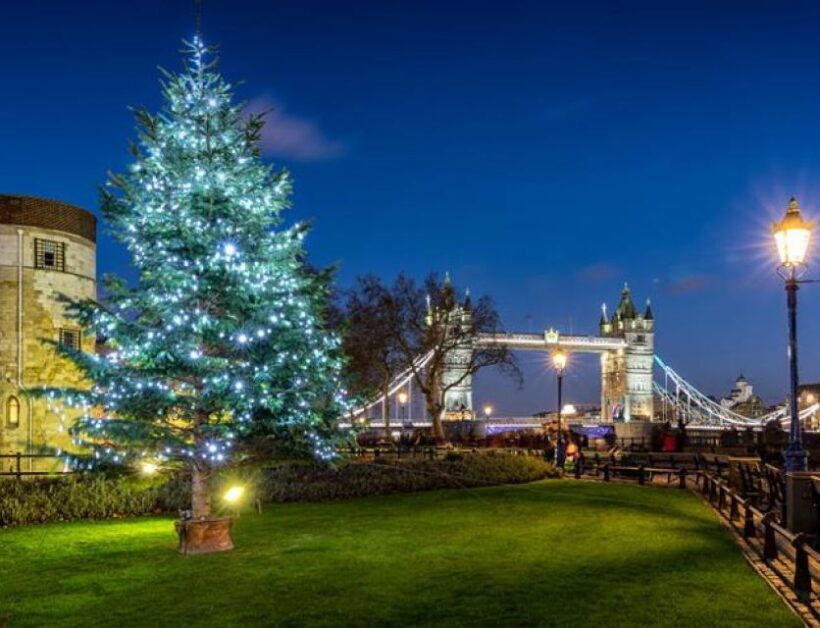 London: Christmas Lights Nighttime Bus Tour with Live Guide - What to Expect During the Tour