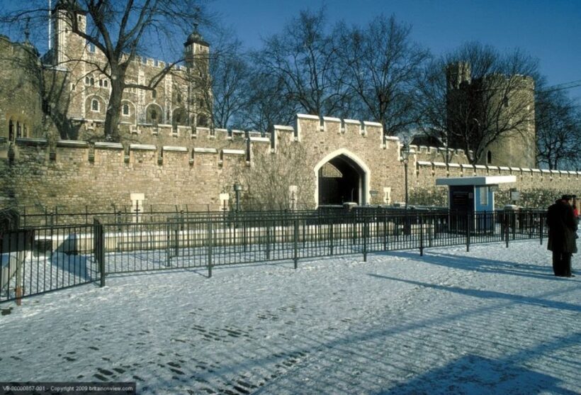 London: Christmas Sights and Sounds of London Tour - Who This Tour Is Best For