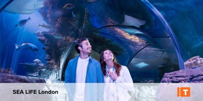 London City pass: Top attractions, Hop on Hop off & tours - A Closer Look at the Itinerary and Attractions