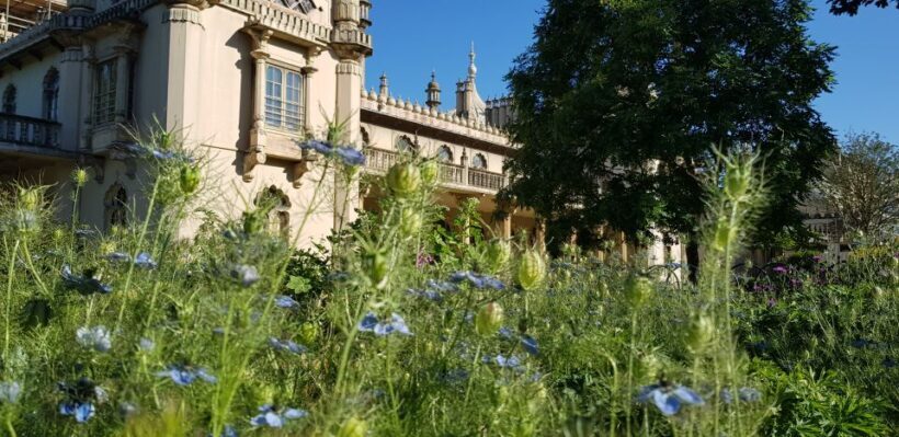 London: Guided Day Trip to Brighton and Seven Sisters - A Detailed Look at What This Tour Offers