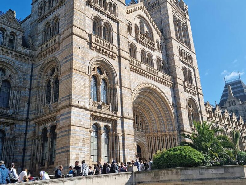 London: Guided Exploration at the Museum of Natural History - Who Should Consider This Tour?