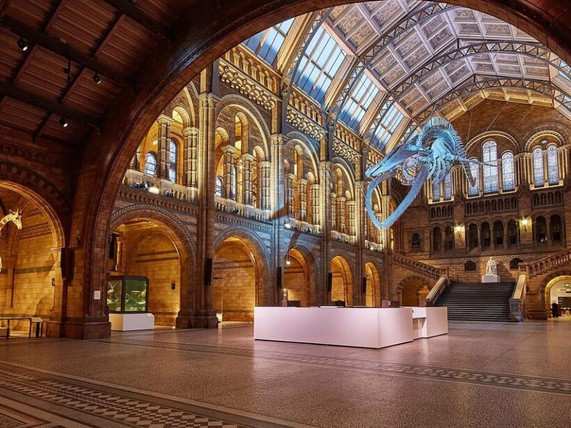 London: Guided Tour of Natural Marvels - Why Choose This Guided Tour?