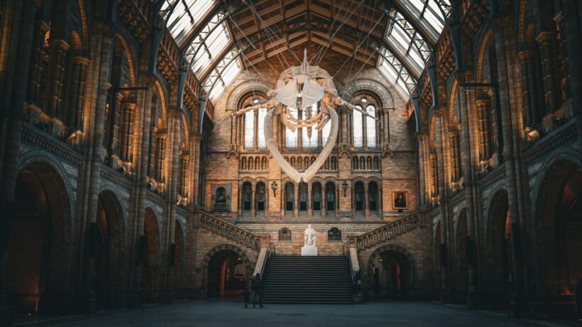 London: Guided Tour of the Natural History Museum - What the Reviews Say