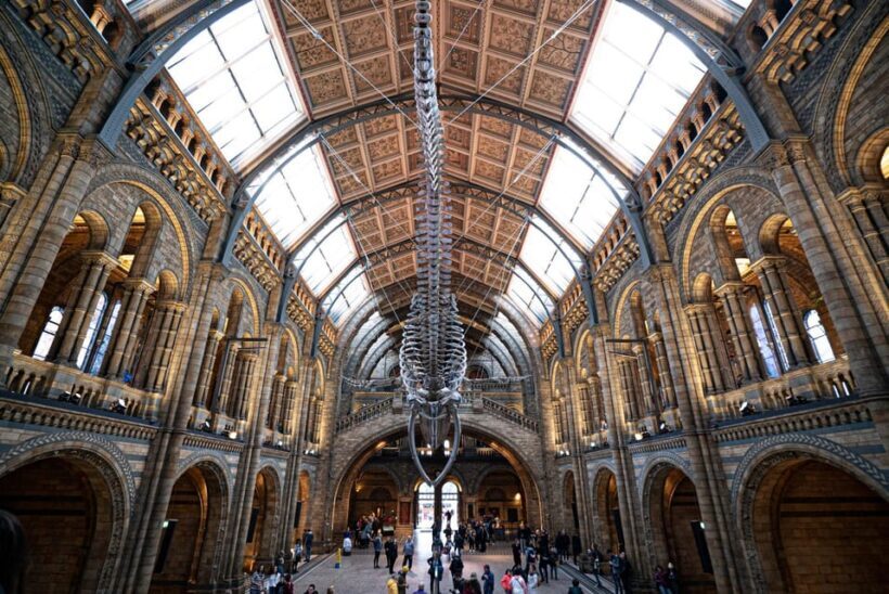 London: Guided Tour of the Natural History Museum - Who Should Consider This Tour?