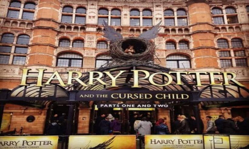 London: Harry Potter Tour, River Cruise & The London Dungeon - Who Should Consider This Tour?
