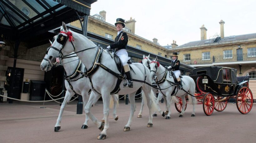 London Highlights Tour & Buckingham Palace Royal Mews Ticket - Final Thoughts: Who Is This Tour For?