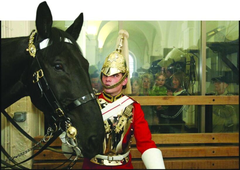 London: Household Cavalry Museum Entry Ticket - Who Should Visit?