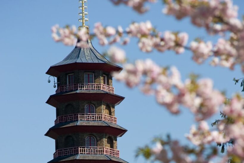 London: Kew Gardens Admission Ticket - How to Make the Most of Your Visit