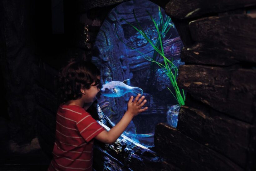 London: Madame Tussauds, London Eye & SEA LIFE Combo Ticket - Practicalities and Tips for Your Visit