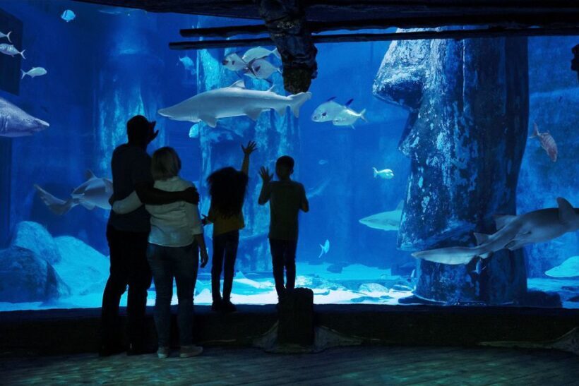 London: Madame Tussauds, London Eye & SEA LIFE Combo Ticket - The Sum Up